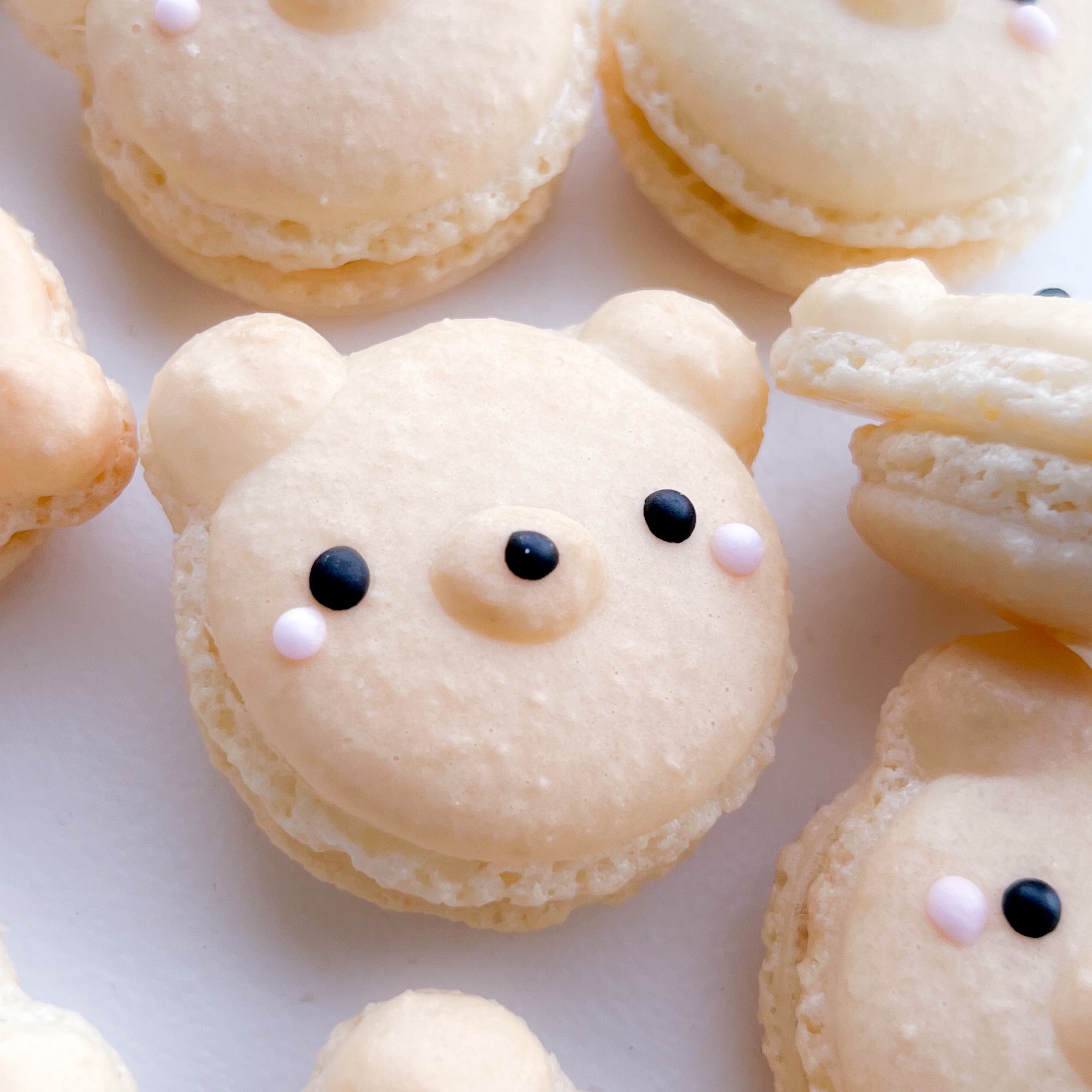 Bear Macarons | Steph's Macarons