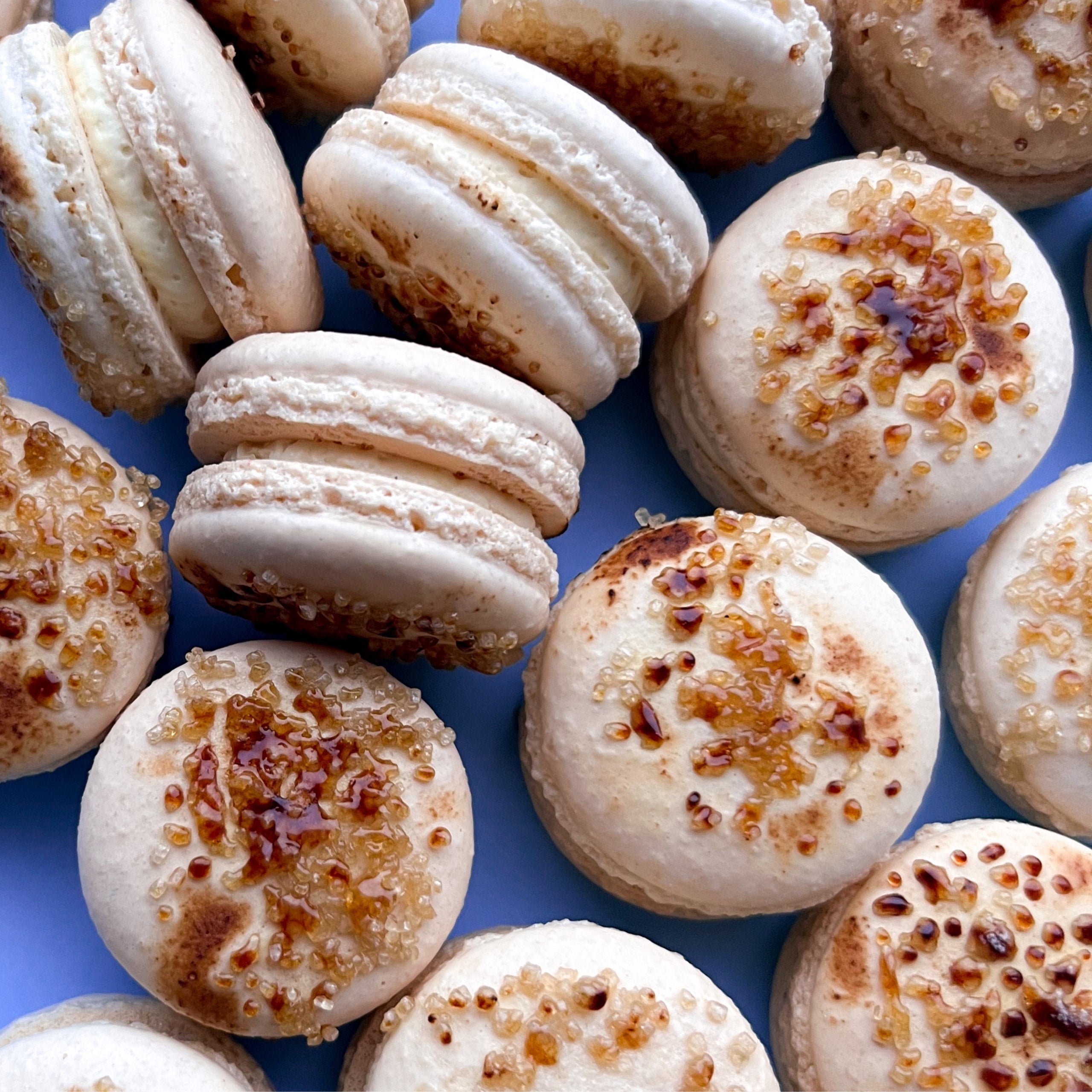 Creme Brulee Macarons | Steph's Macarons