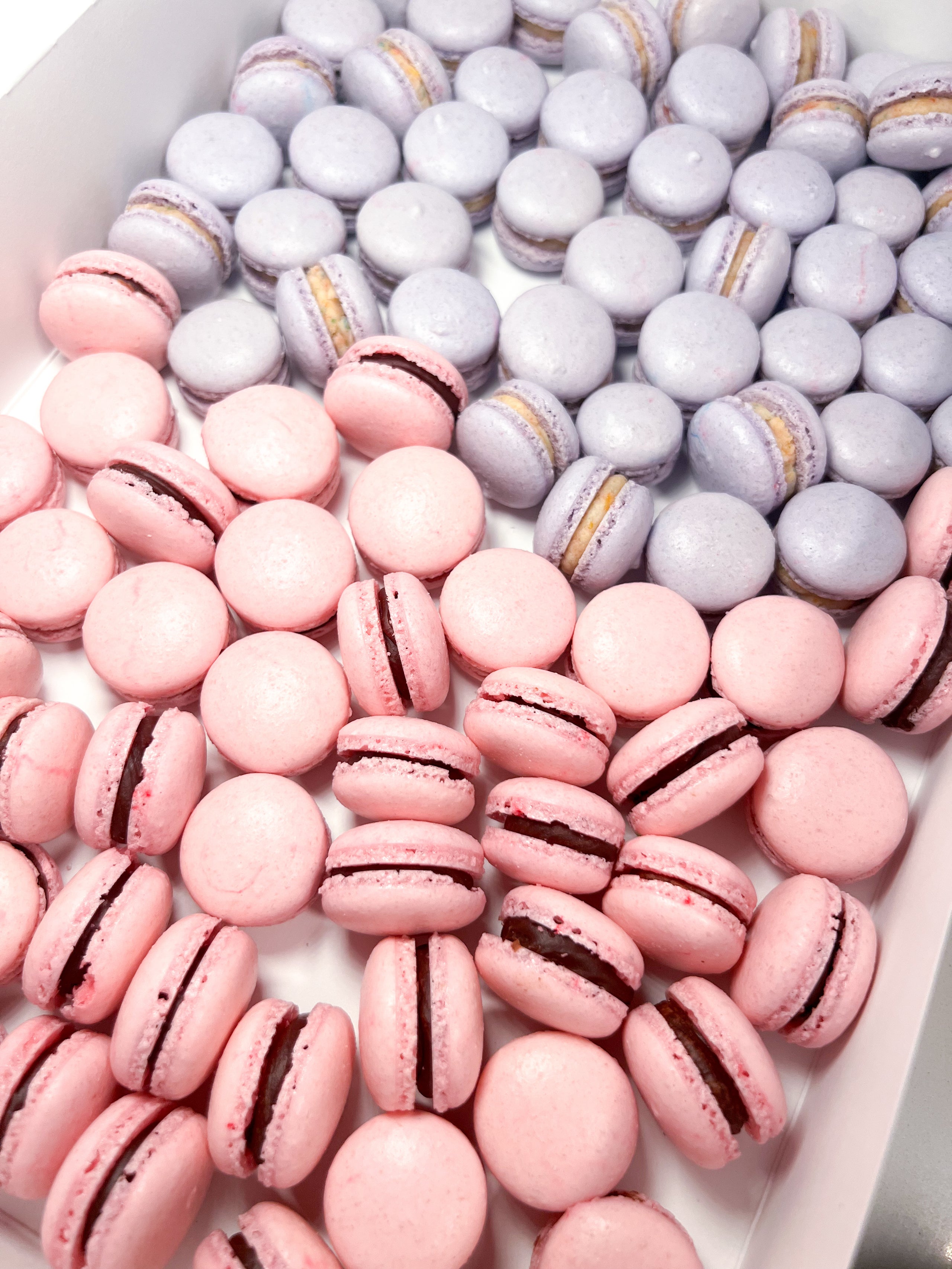 Mini Macarons (60) | Steph's Macarons